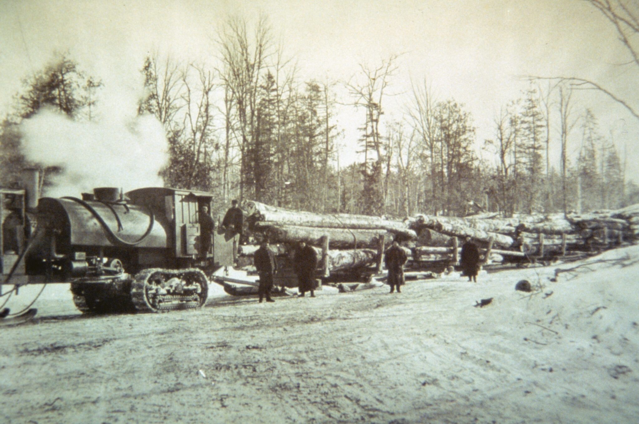 Our History - New England Forestry Foundation New England Forestry ...