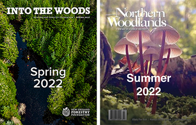 Gift Subscriptions | Give the NEFF Newsletter & Support Forest ...