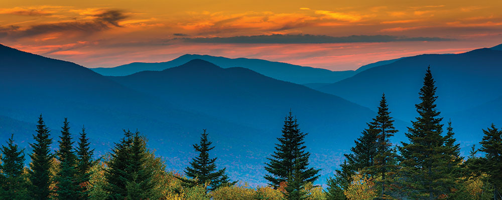 Journey Through NEFF’s History - New England Forestry Foundation New ...