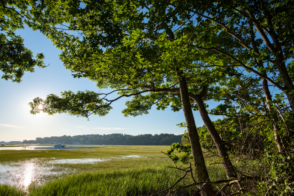Nelson Memorial Forest - New England Forestry Foundation New England ...