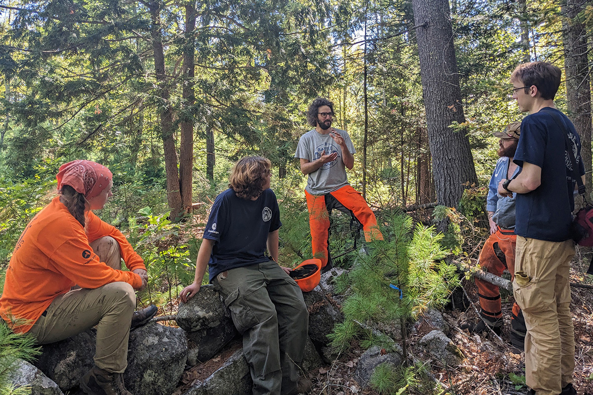 Hands-On Forestry at True Farm - New England Forestry Foundation New ...