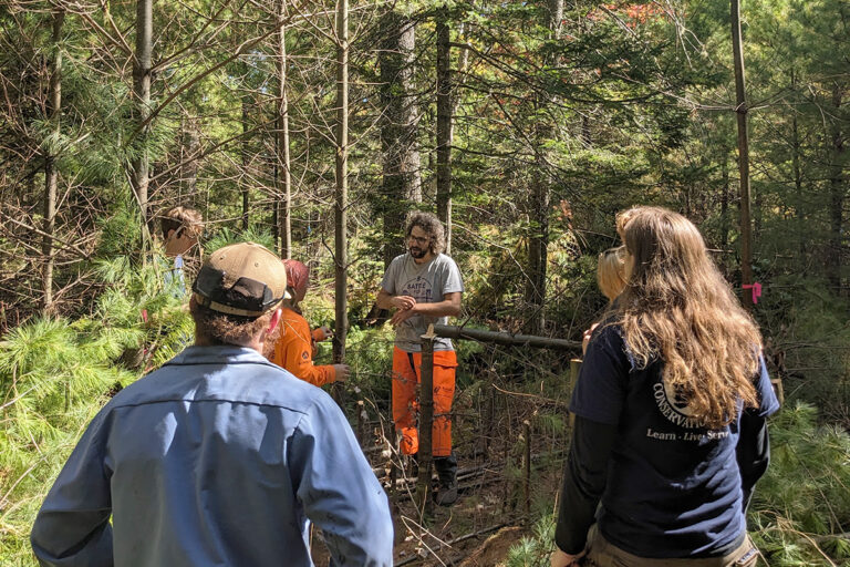 Hands-On Forestry at True Farm - New England Forestry Foundation New ...
