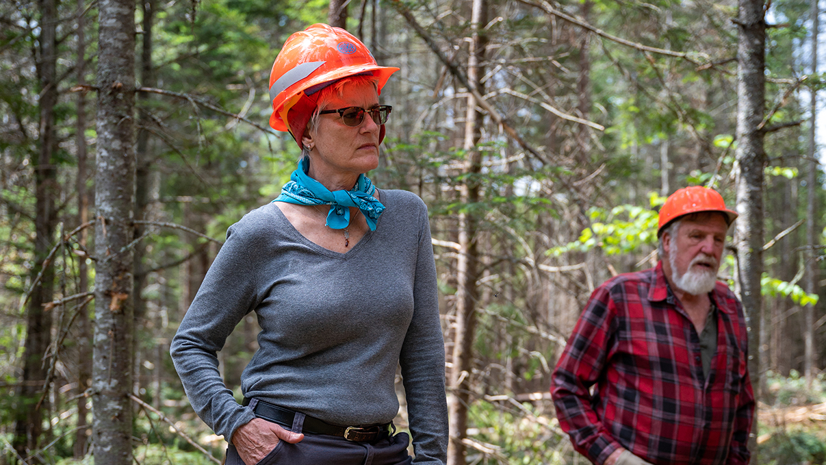 Western Maine Habitat Project Achieves Major Success - New England ...